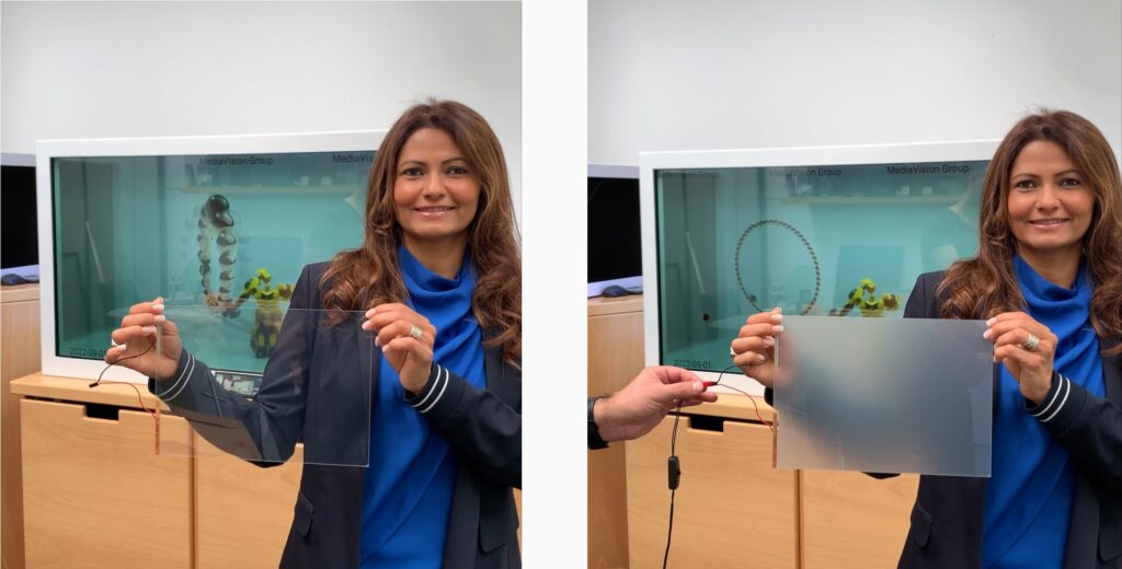 Media Vision - Innovative Schaltbare Folien und Gläser